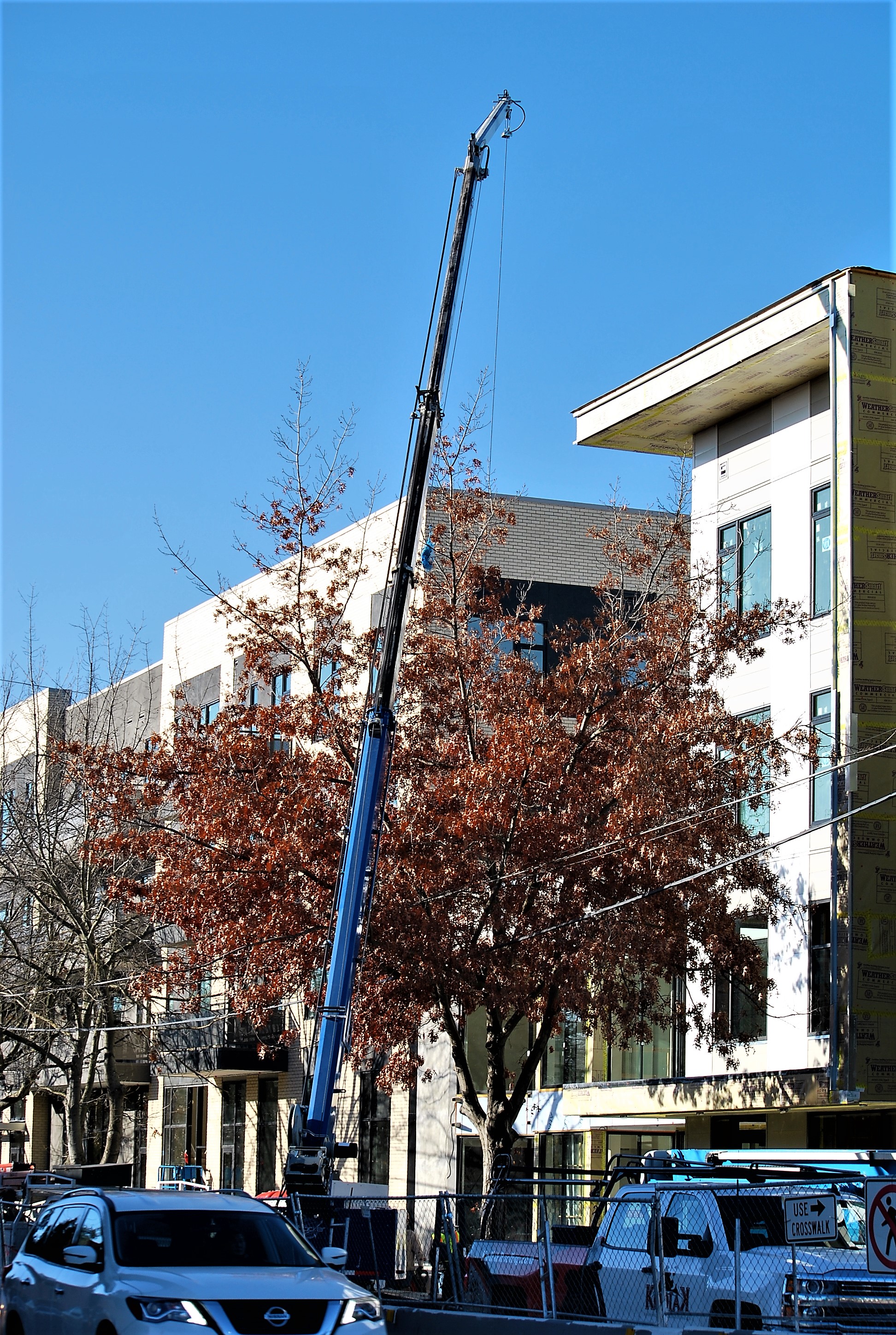 Cranes Everywhere – 67Steffen.com